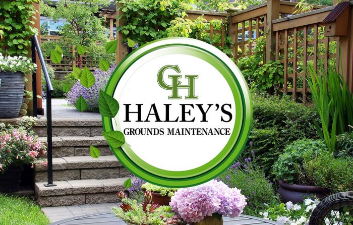 Haley's Services | Commercial & Domestic Cleaning | Garden Maintenance